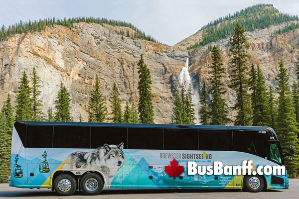 Bus Banff
